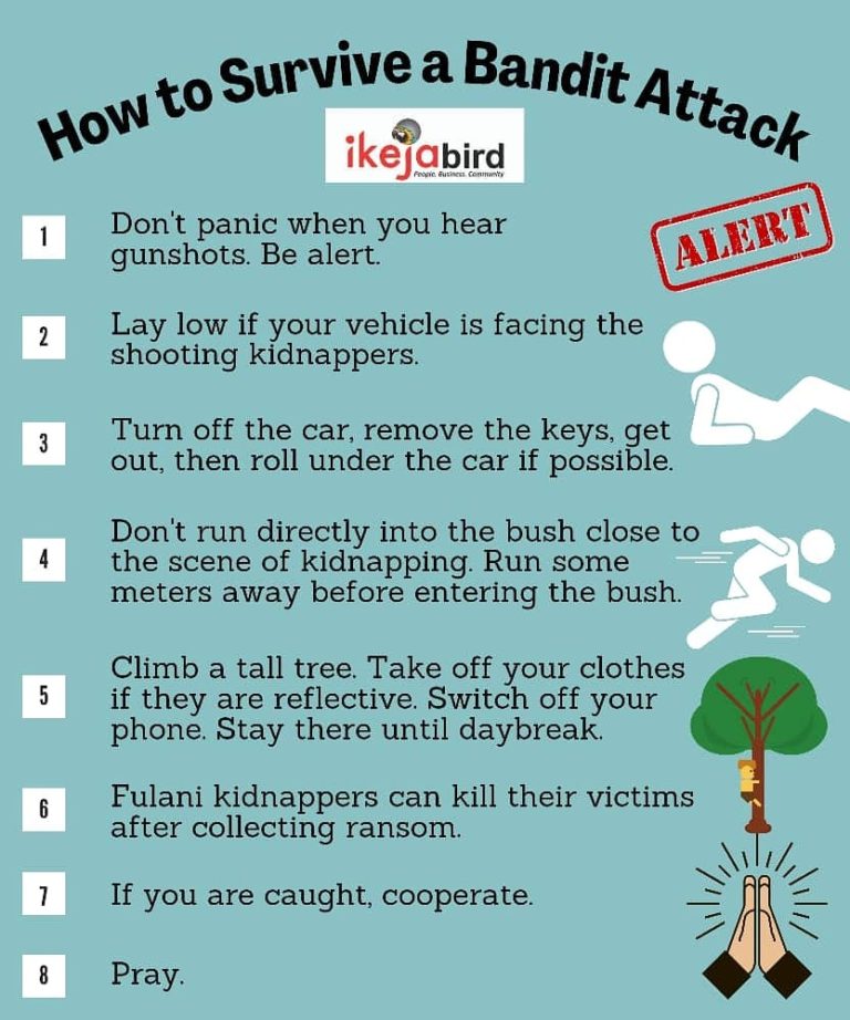 How to survive a bandit attack - Ikeja Bird